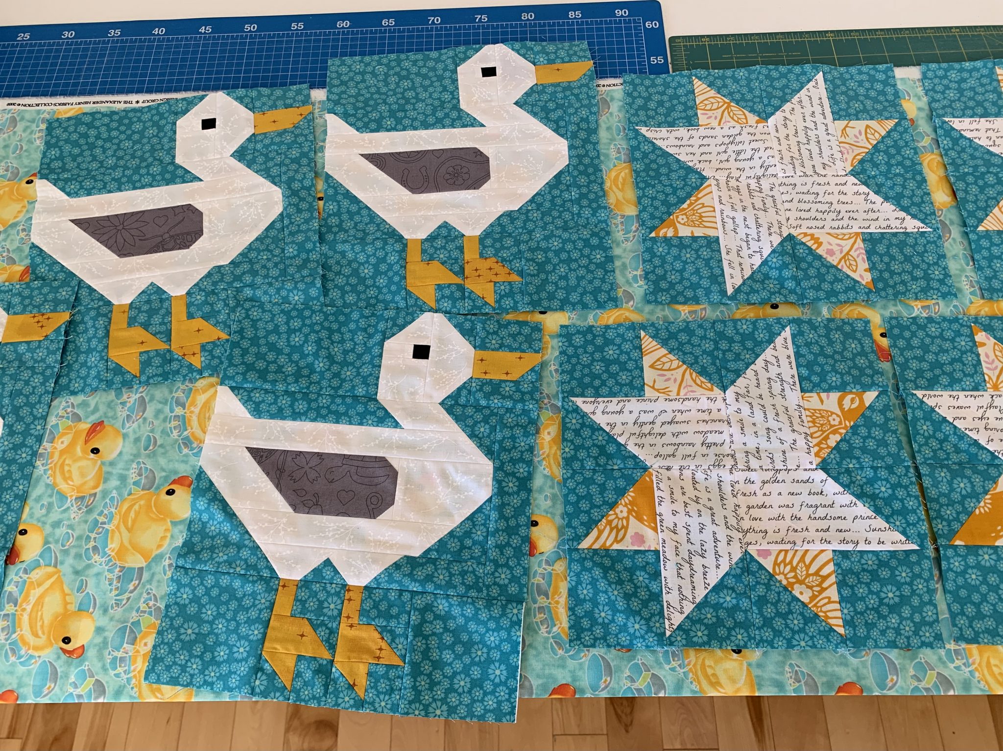 Ducks, Ducks, Ducklings and Duck Tracks