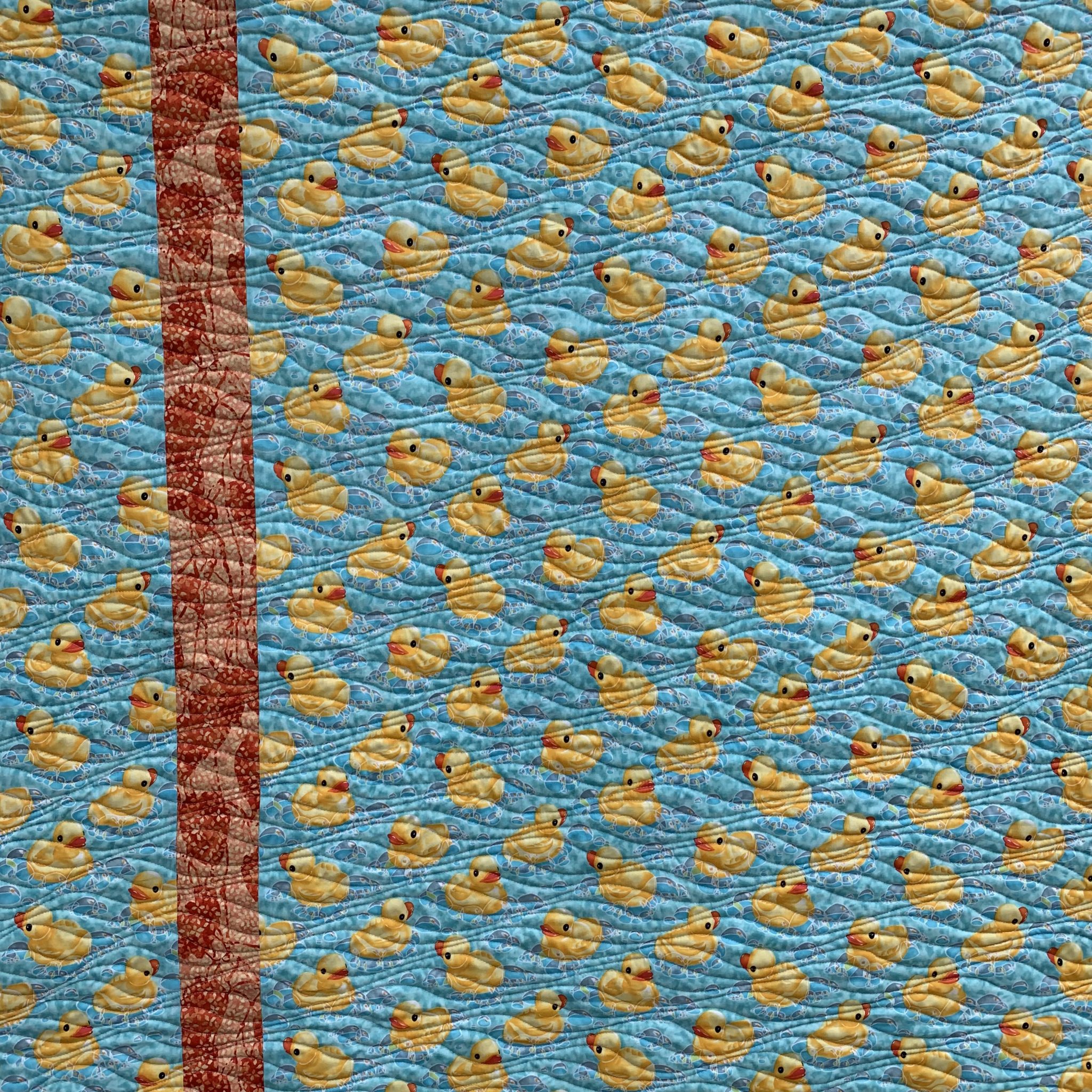 Ducks and Ducklings quilt finish – Sew Fresh Quilts